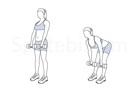 Romanian Deadlift Illustrated Exercise Guide Workout Guide Back
