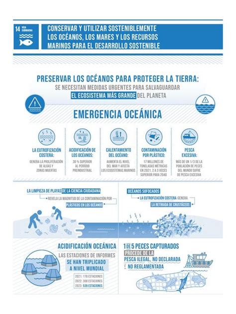 Ods 14 Vida Submarina Iris Tolentino Udocz