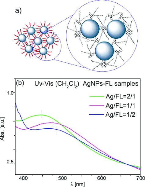 A Chemical Sketch Of Mnps Functionalized With Fl Bifunctional Ligand