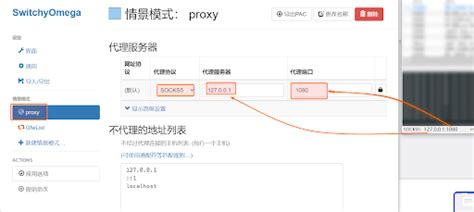 Chrome用zeroomega自动切换模式gfwlist走代理 其他直连