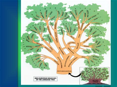 Викторина к уроку английского языка
