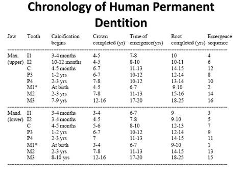 Tooth Calcification And Eruptionpptx