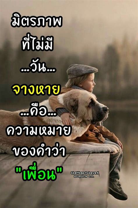 ใช่เลย คำคมเกี่ยวกับเพื่อน เพื่อนแท้ คำคม