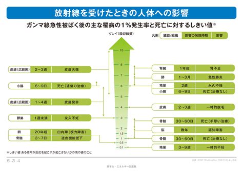 【6 3 04】放射線を受けたときの人体への影響 エネ百科｜きみと未来と。