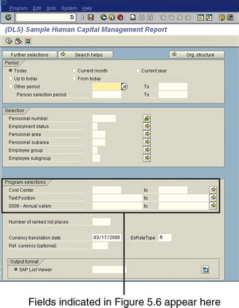 Maximizing The Use Of Selection Screens In SAP Query SAP Query Reporting