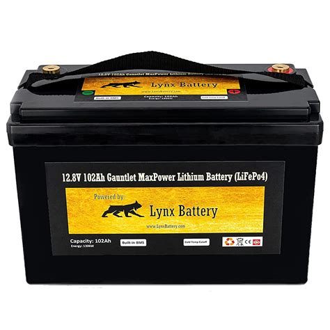 Buy Lynx Battery 12v 100ah Lithium Iron Phosphate Lifepo4 Battery Bms