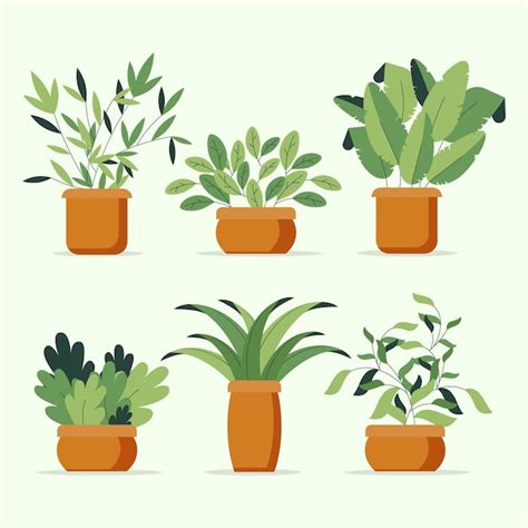 Colección Ilustrada De Plantas De Interior Planas Vector Gratis