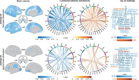 Neural Correlates Of Device Based Sleep Characteristics In Adolescents Cell Reports