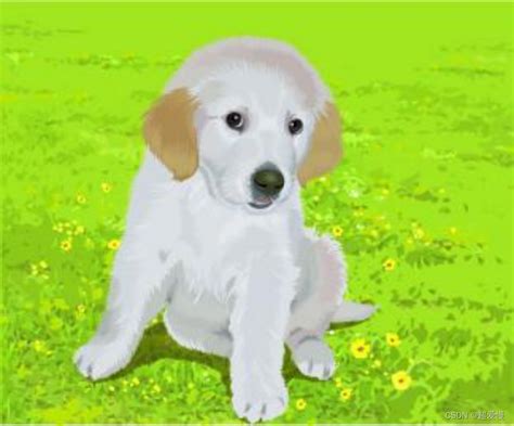 Java学习（超详细）五（类、对象、方法）java中类方法函数对象 Csdn博客