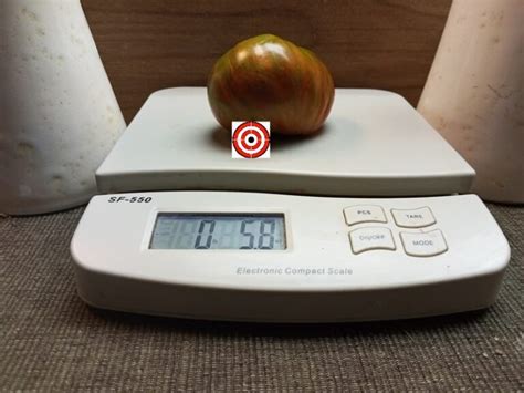 007 Tomato Bounty Hunter Seeds Rare Dean Slater Seeds