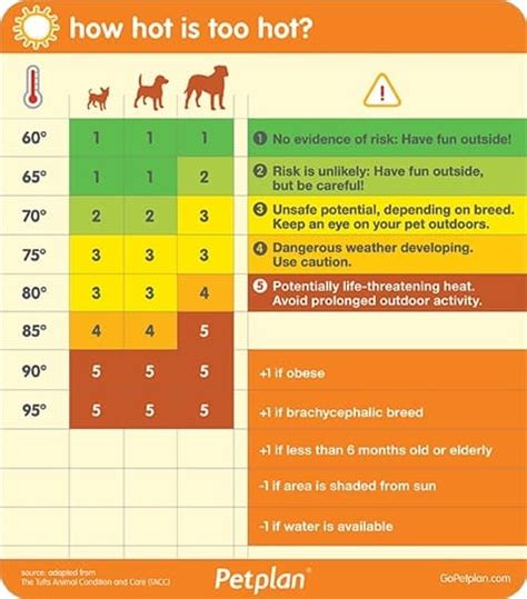 What Temperature Is Too Hot To Walk A Dog In The Uk