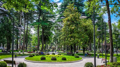საქართველოს ინფრასტრუქტურის სამინისტროს მუნიციპალური განვითარების