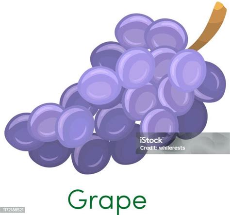 흰색 배경에 고립 된 파란색 젖은 이사벨라 와인 포도 무리 앱 게임 또는 Ui 웹 사이트에 대한 디자인 요소입니다 평평한 스타일의 포도 과일 벡터 파란색 개체 가을에 대한