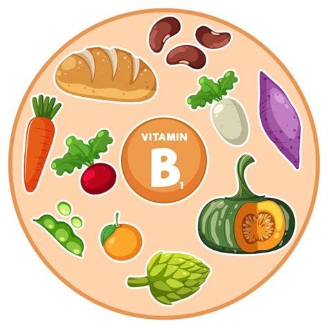 Grupo de alimentos ricos en vitamina B1 en ilustración vectorial ...