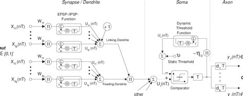 Time Discrete Extended Spike Response Model With First Order Filters Download Scientific Diagram