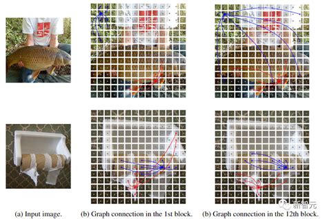 Cv的未来是图神经网络？中科院软件所发布全新cv模型vig，性能超越vit 腾讯云开发者社区 腾讯云