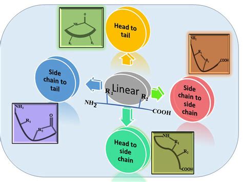 Different Types Of Methods For Cyclization Of Linear Peptides I R 1