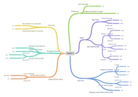 week 4 coggle diagram