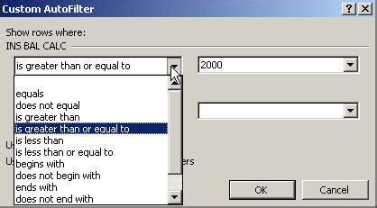 Excel S Autofilter Function Find Subsets Of Data