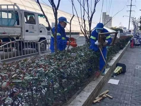【创全进行时】持续整治不松懈 全力保障助创全基层信息上海市宝山区人民政府