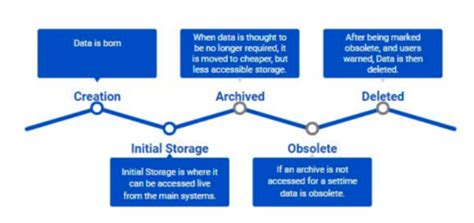 Bcs Data Analysis Concepts Module 2 The Data Lifecycle 5 K2 Flashcards Quizlet