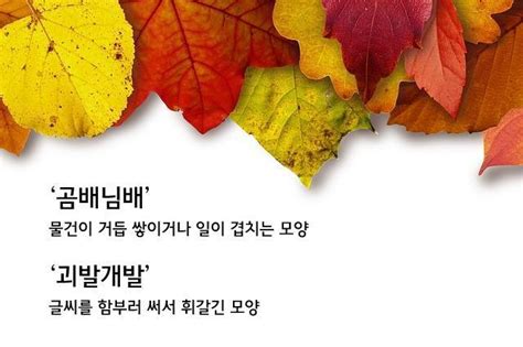 재미있는 순우리말 시리즈 시작합니다 ㄱ부터 ㅎ까지 아름다운 하루에 15분 글쓰기 글잼