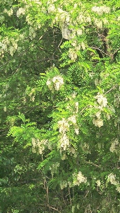 박상민 신곡 유해준 작곡 Youtube