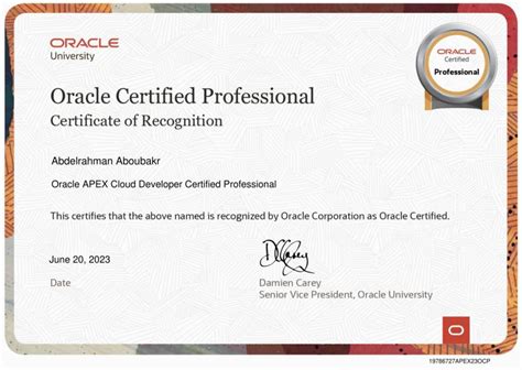 Abdulrahman Khalifa On Linkedin Orclapex Oracledatabase