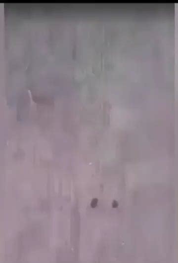 A Classic Fuk Around And Find Out Rbjj