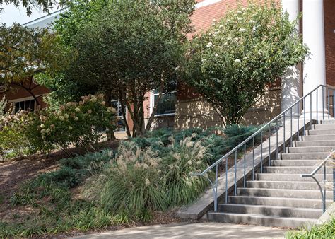 Msu Landscape Symposium Provides Varied Design Ideas Mississippi