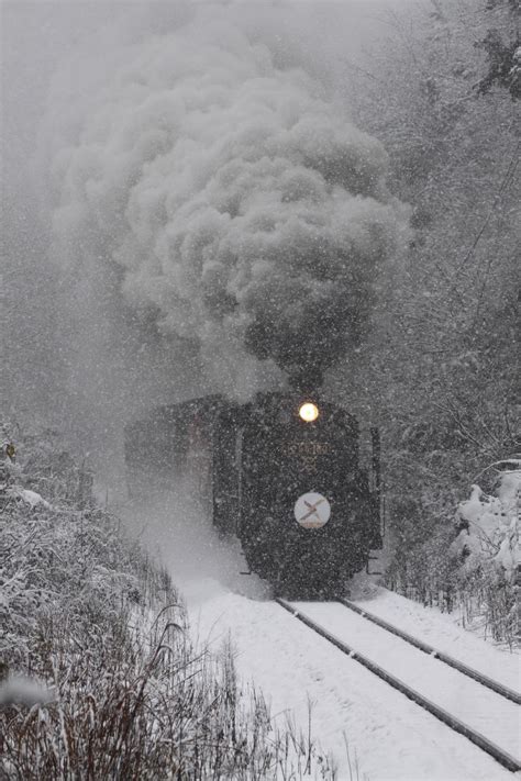 SLｸﾘｽﾏｽ号 田代定番 GANREF