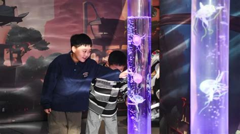 中国の科学技術博物館の訪問は2024年に1億回に達する