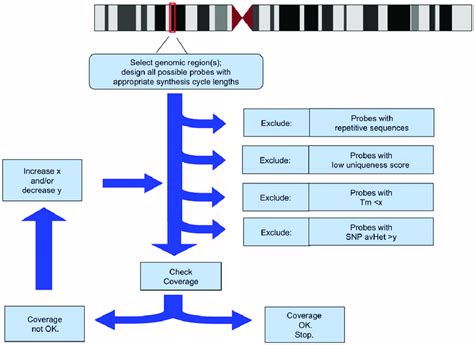 Proposed Algorithm To Refine Probe Selection Download Scientific