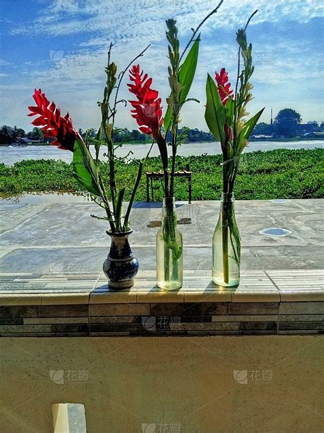 收集篱笆上的花盆