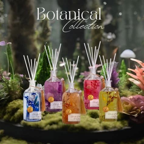 Jual Botanicals Gadis Kemayu Reed Diffuser Shopee Indonesia