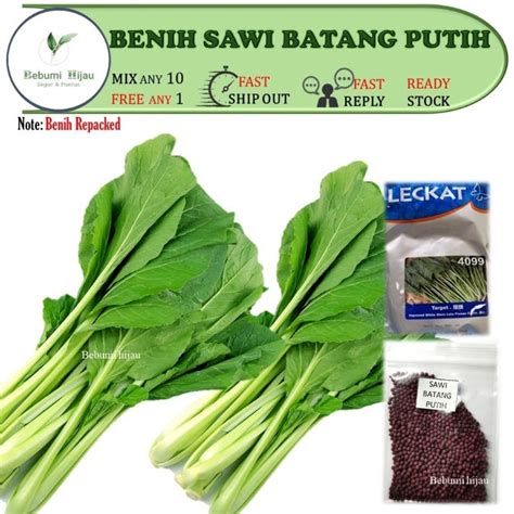 2 Gram Benih Sawi Batang Putih Seeds Lazada