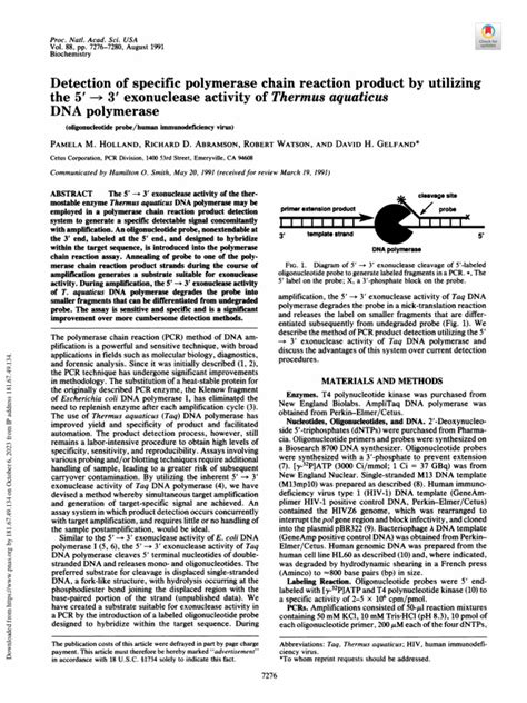 Holland Et Al 1991 Detection Of Specific Polymerase Chain Reaction