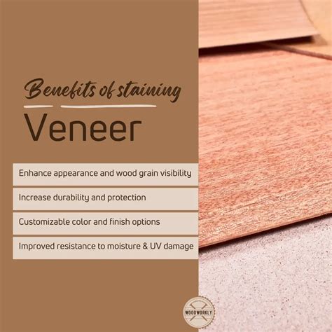 Stain Wood Veneer In 7 Easy Steps 2025 New Guide