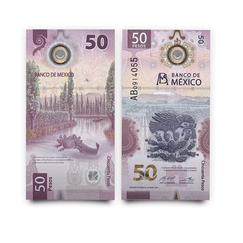 El Emblemático Ajolote De Xochimilco Es La Imagen Del Nuevo Billete De