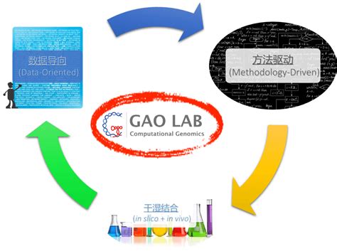 研究方向 Gao Lab