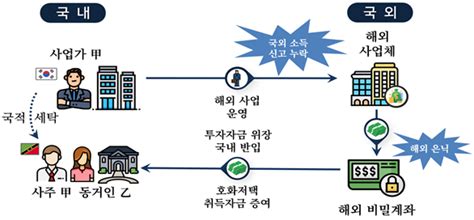 국적세탁가상자산은닉해외원정진료소득탈루 국세청추적피하려는역외탈세백태 중부뉴스통신