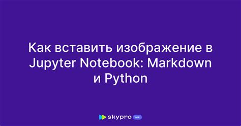 Jupyter Notebook Markdown Python