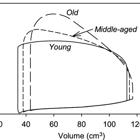 Effects Of Aorta Aging On Myocardial Kinematics And Dynamics A With Download Scientific