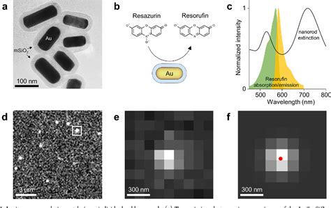 figure 1 from super resolution mapping of a chemical reaction driven by