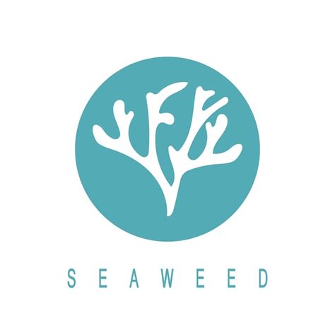 Premium Vector Seaweed Vector Illustration Template