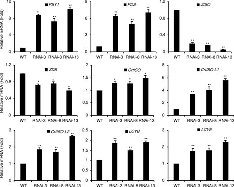 Altered Expression Of Genes In Lycopene Biosynthesis And Metabolism