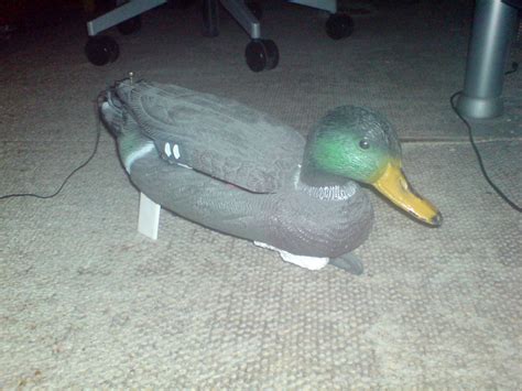 Rc Duck