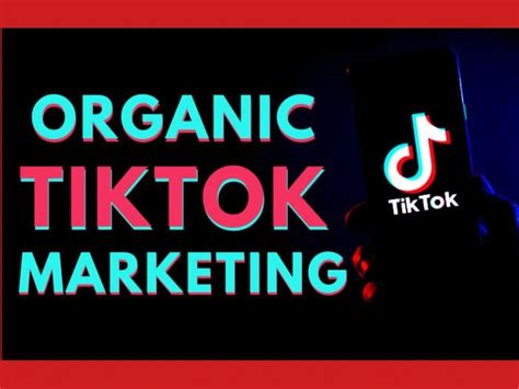 Tiktok Marketing Expert To Grow Your Tiktok Organically Upwork