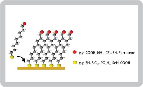 Schematic Representation Of A Self Assembled Monolayer On An