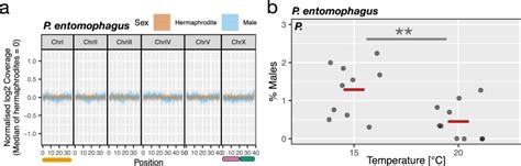 Rapid Chromosome Evolution And Acquisition Of Thermosensitive